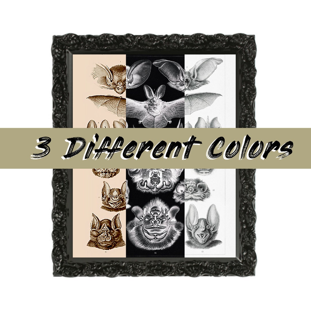 Vintage Bat Poster, Gothic Wall Art, Dark Academia Decor, Vampire Bat ...