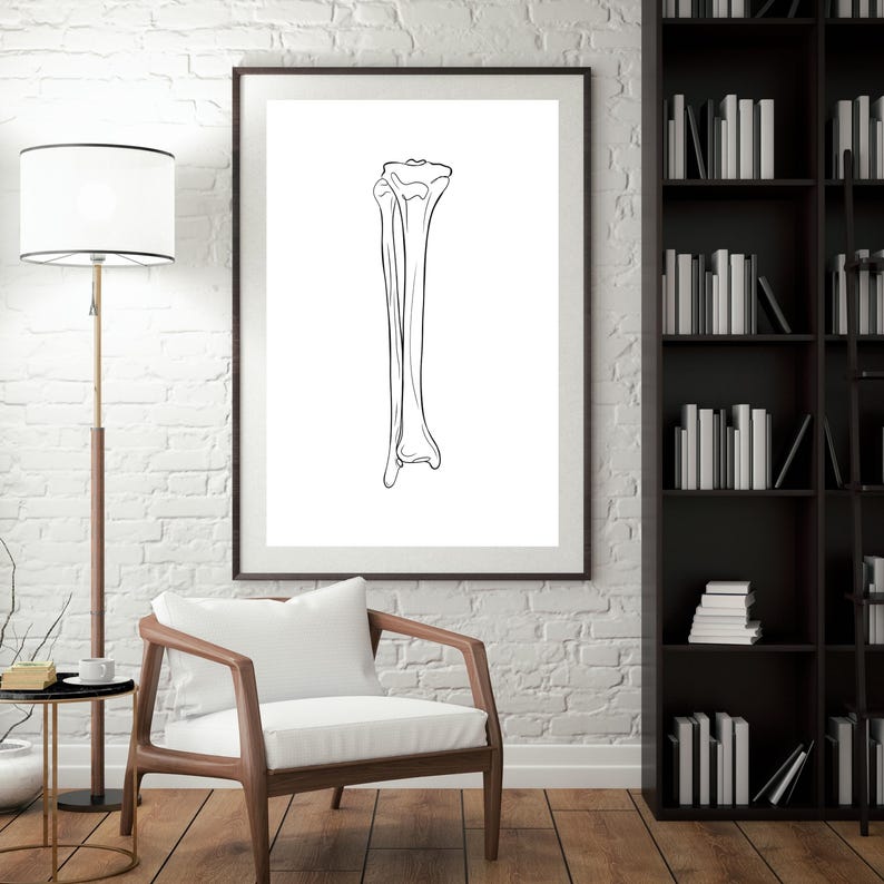 Tibia Anatomy Wall Art, Vertebrae Chiropractic Poster Decor, Medical ...
