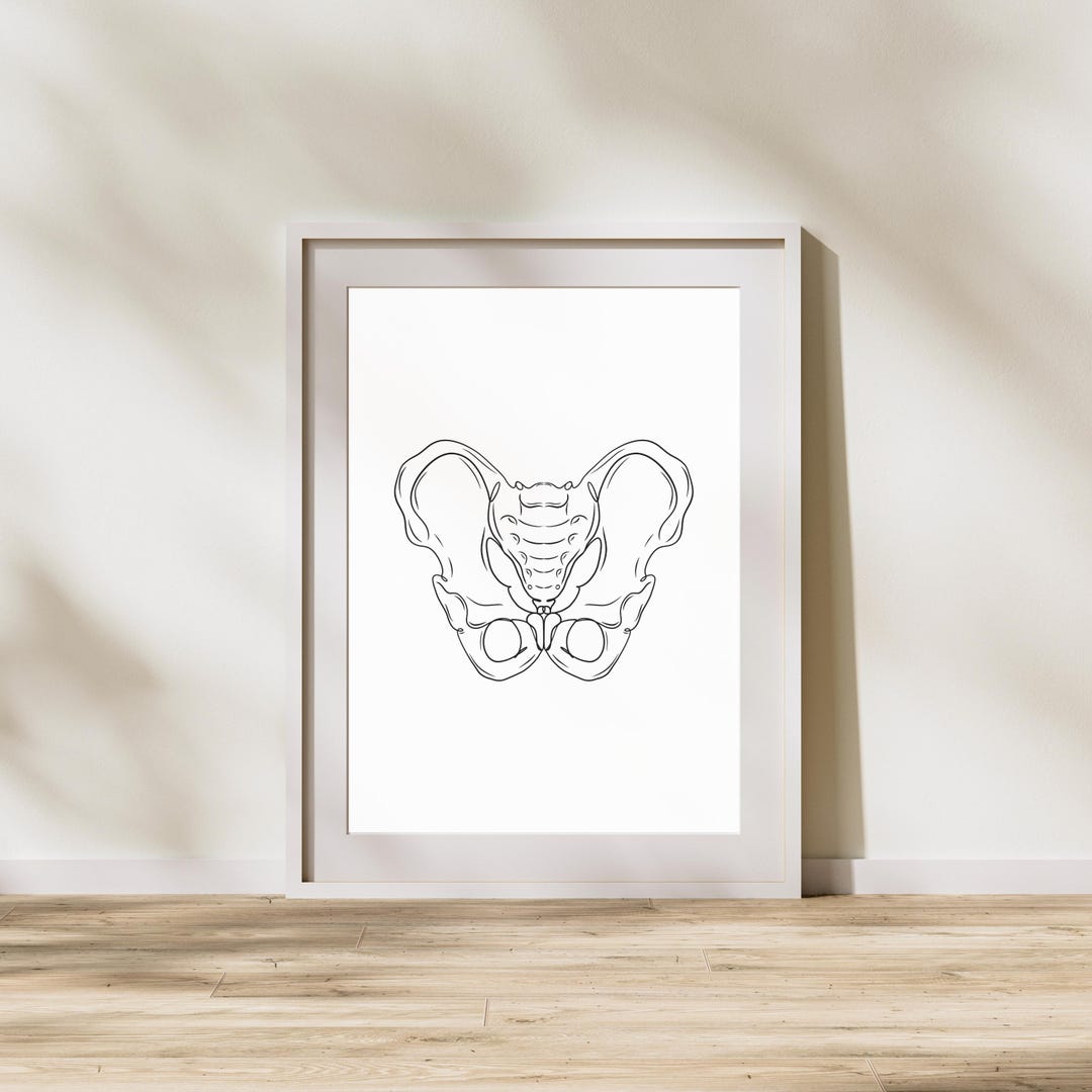 Simple Male Pelvis Art, Chiropractor Wall Art, Anatomy Art, Medical ...