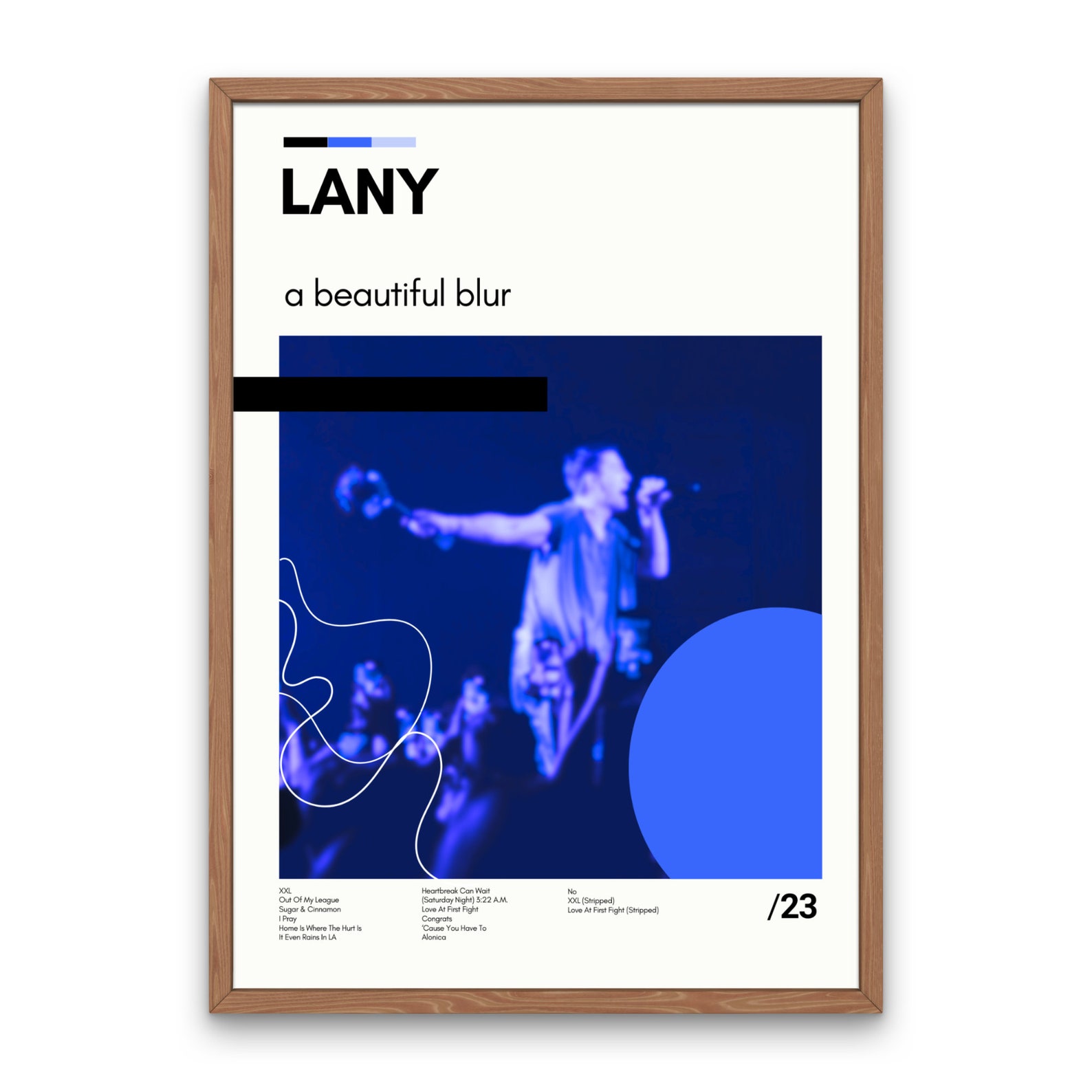 LANY Album Poster | Bedroom Wall Decor | Concert Poster | Work From ...
