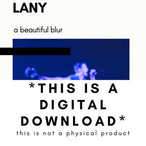 LANY Album Poster | Bedroom Wall Decor | Concert Poster | Work From ...