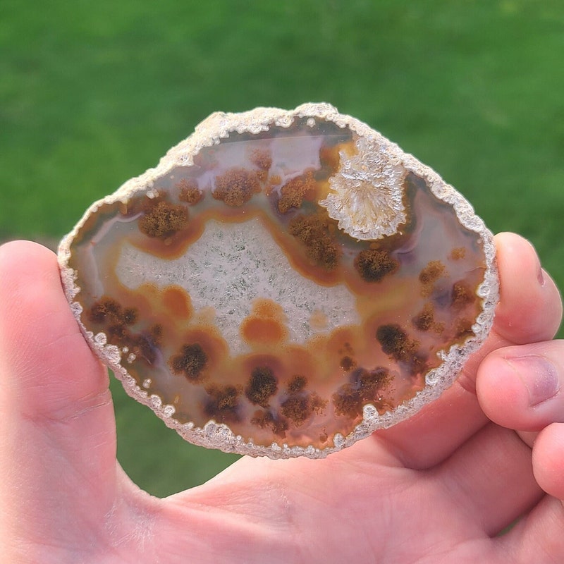 Brazilian Agate Slice - Etsy