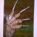 Fused Glass Art Freddy Krueger Hand Painted Bladed Glove A - Etsy