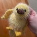 Lucy the Goosey Crochet PDF Pattern - Etsy