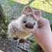 Lucy the Goosey Crochet PDF Pattern - Etsy Canada