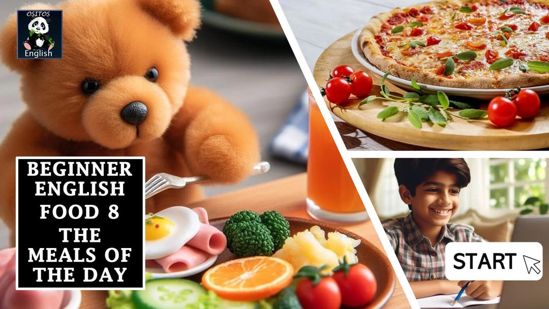 English Lesson - Beginner Food ESL Series Unit 8: Meals of the Day - Etsy