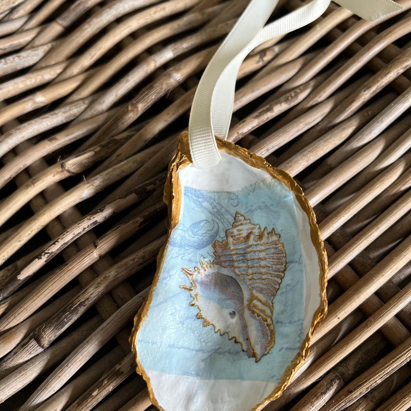 Decoupage Conch Shells - Etsy