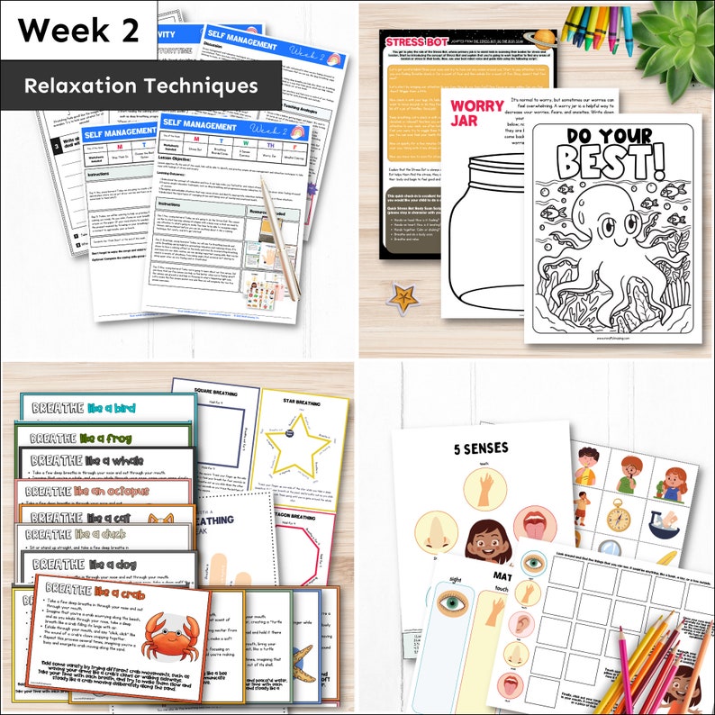 Self-management Social-emotional Curriculum K-2 (coping Strategies ...
