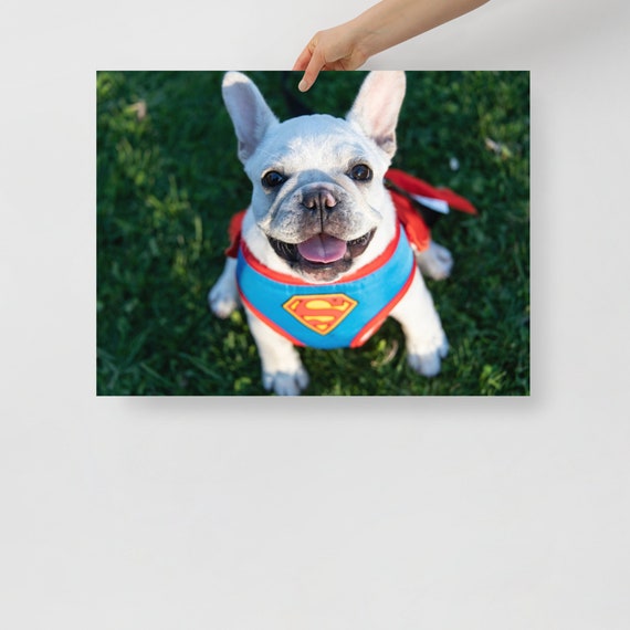 Superdog Poster - Etsy