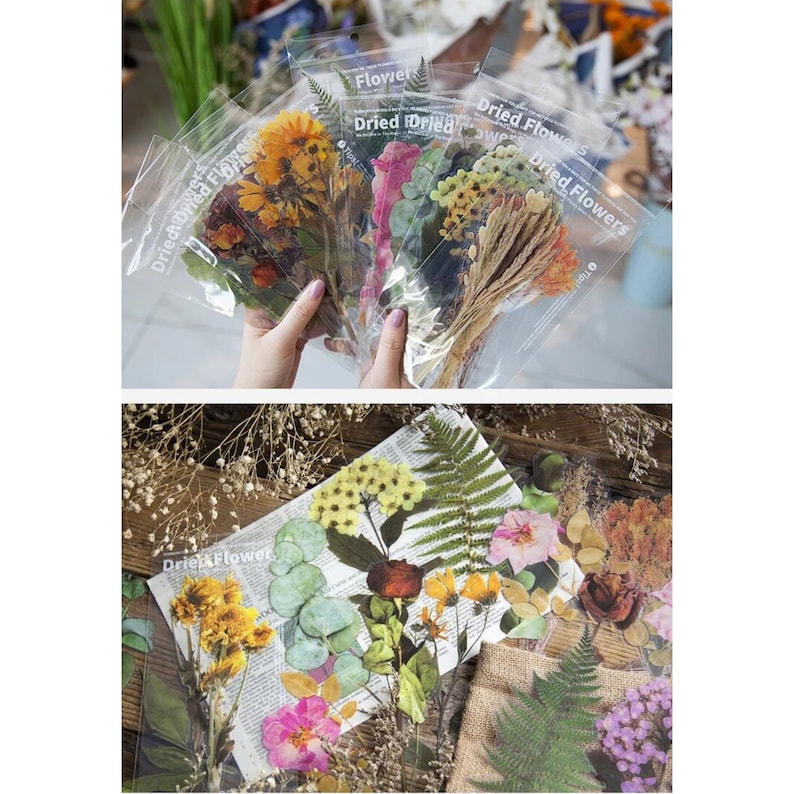 Dried Flower Sticker Set, Large Botanical and Floral Stickers for ...