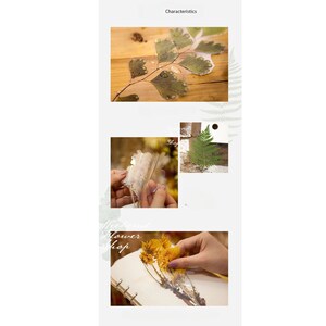 Dried Flower Sticker Set, Large Botanical and Floral Stickers for ...