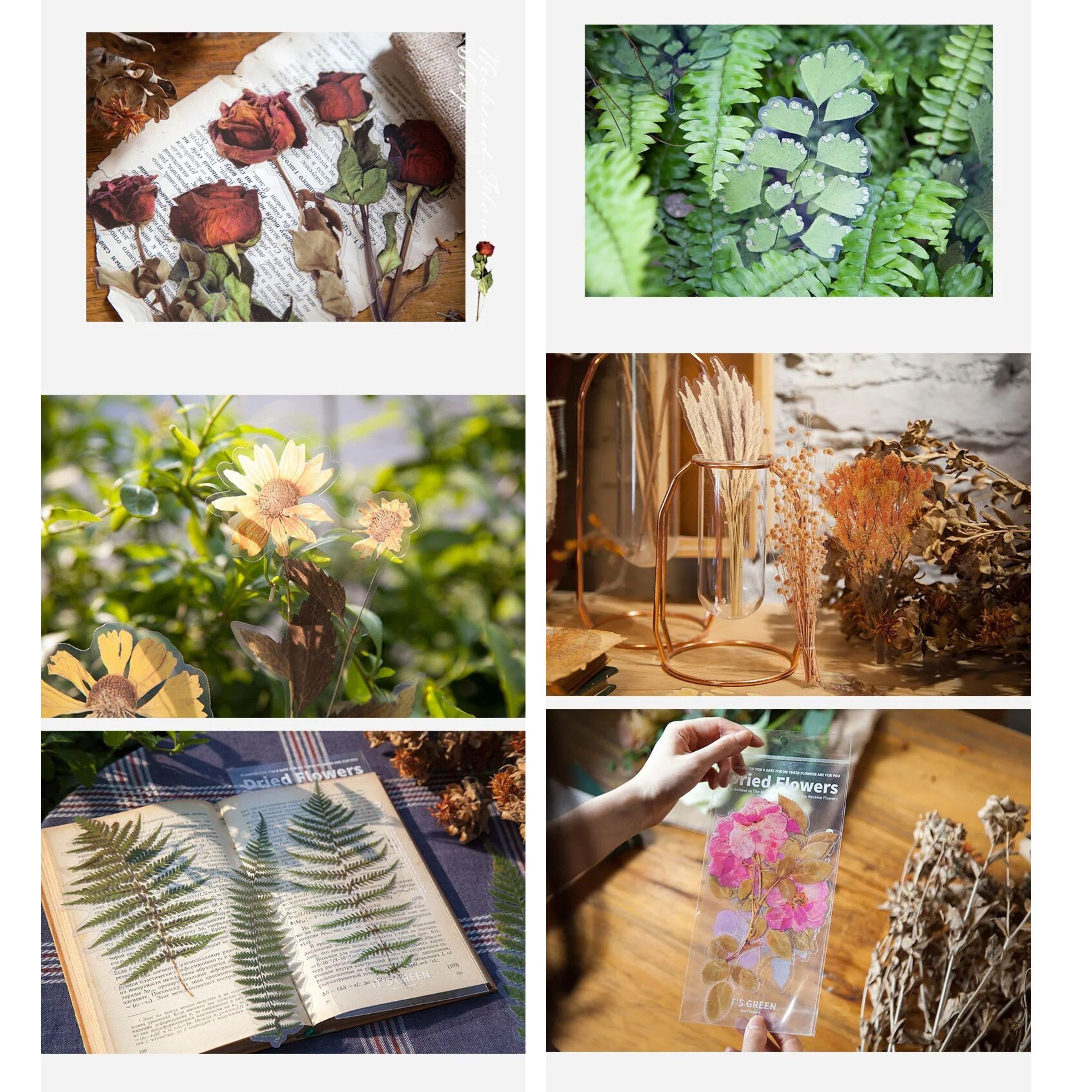 Dried Flower Sticker Set, Large Botanical and Floral Stickers for ...