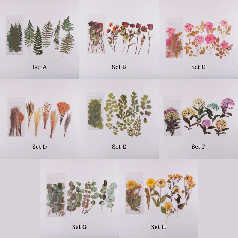Dried Flower Sticker Set, Large Botanical and Floral Stickers for ...