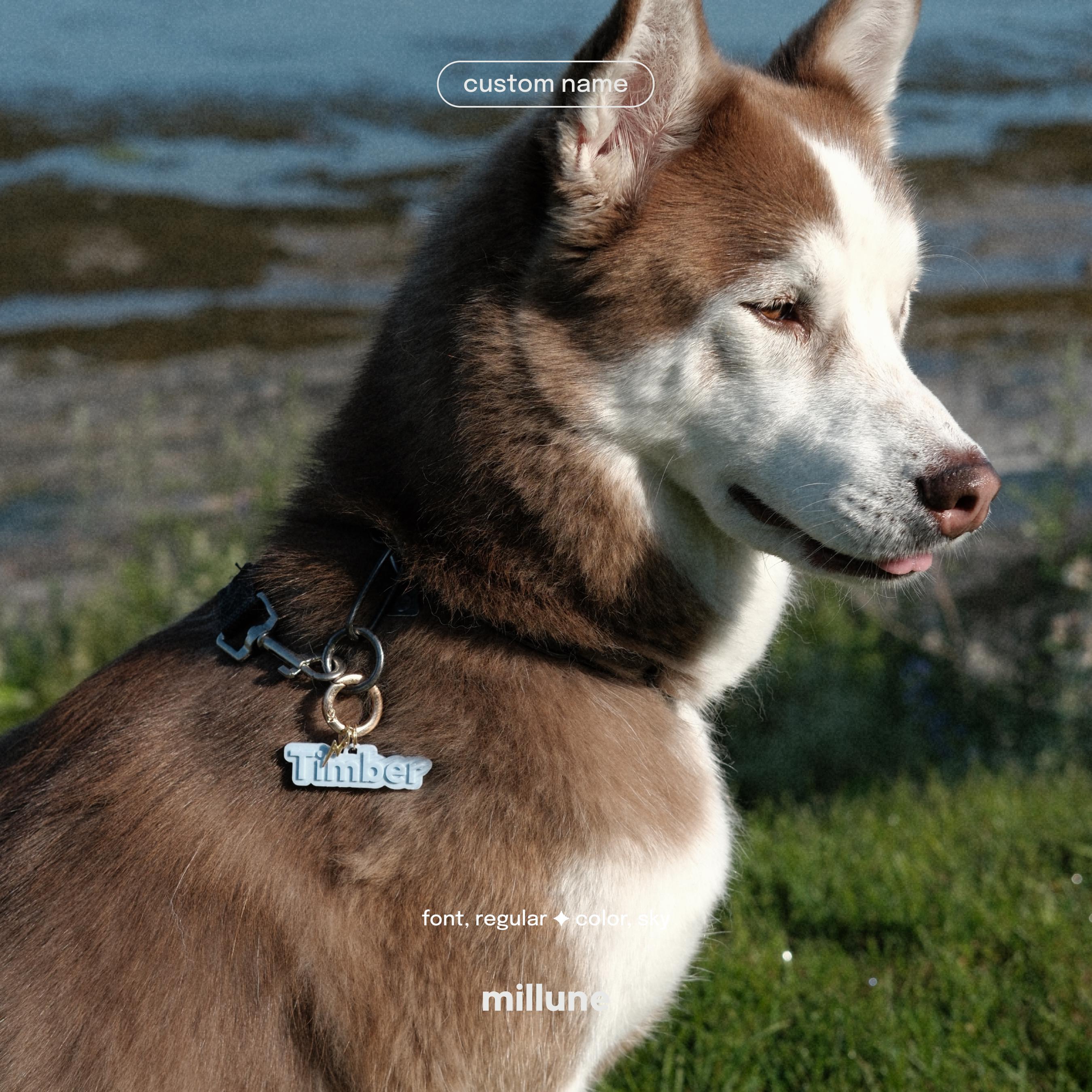 Custom Name Pet Tag, Lightweight Custom 3D Printed Tags - Etsy