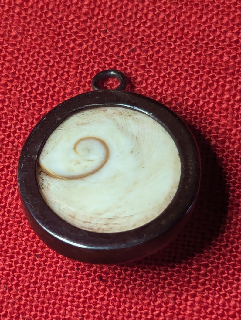 Operculum Pendant - Etsy