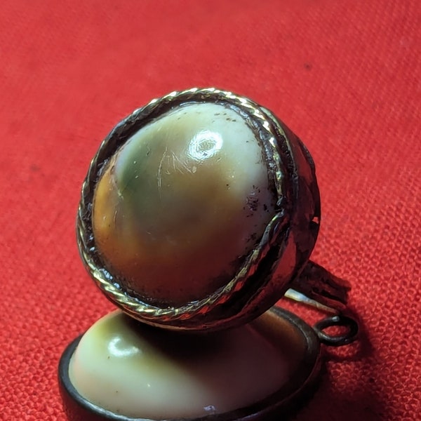 Operculum Jewelry - Etsy