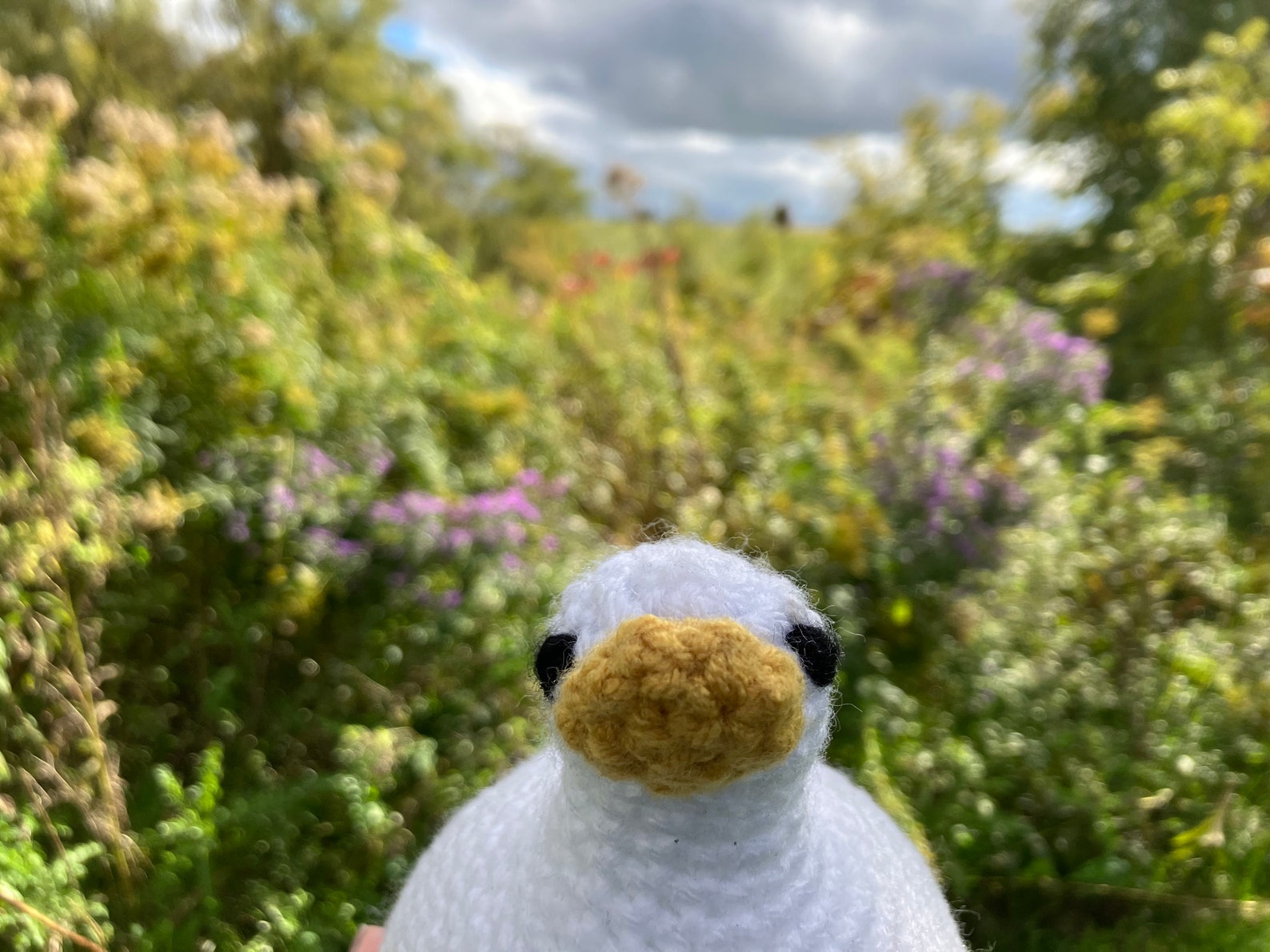 Amigurumi Goots Handmade Crochet Goose Plushie - Etsy