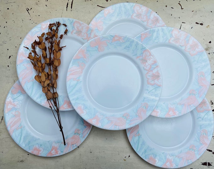 Set of 6 Arcopal Dinner Plates “paradis” Model - Etsy
