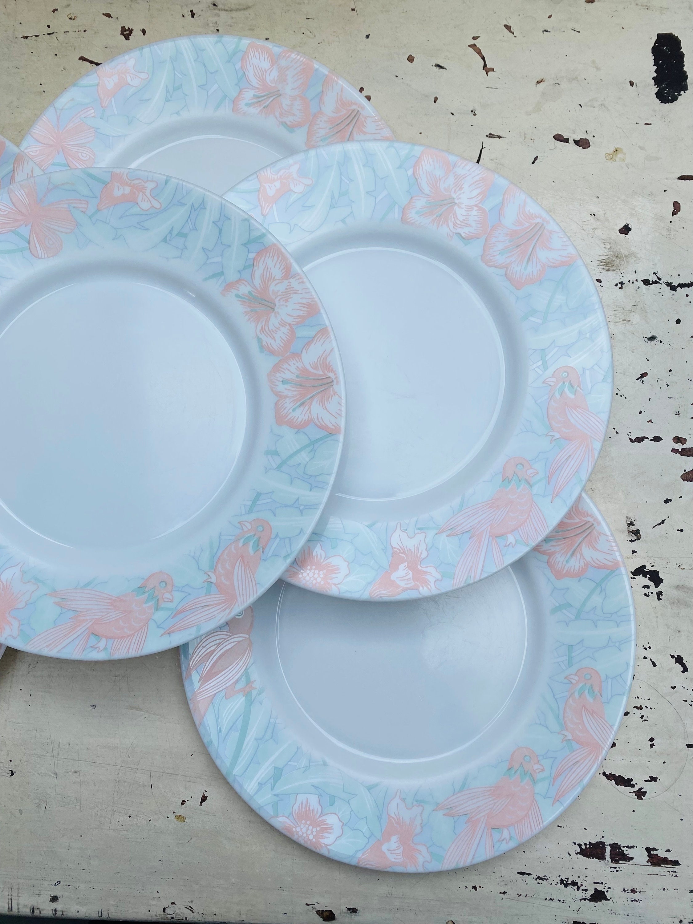 Set of 6 Arcopal Dinner Plates paradis Model - Etsy