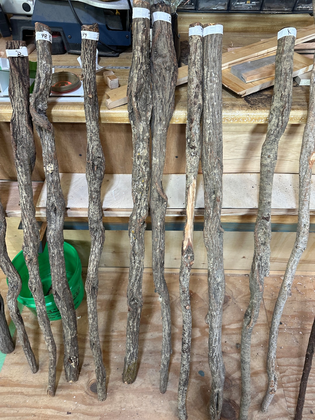 Diamond Willow Walking Stick Blanks item I 51 Inches - Etsy