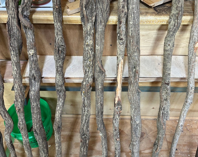 Diamond Willow Walking Stick Blanks (item I - 51 Inches) - Etsy