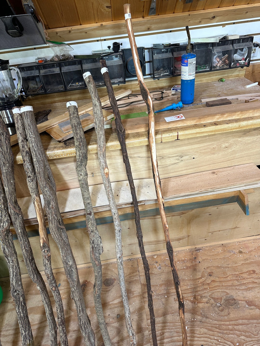 Diamond Willow Walking Stick Blanks (item L - 55 Inches) - Etsy