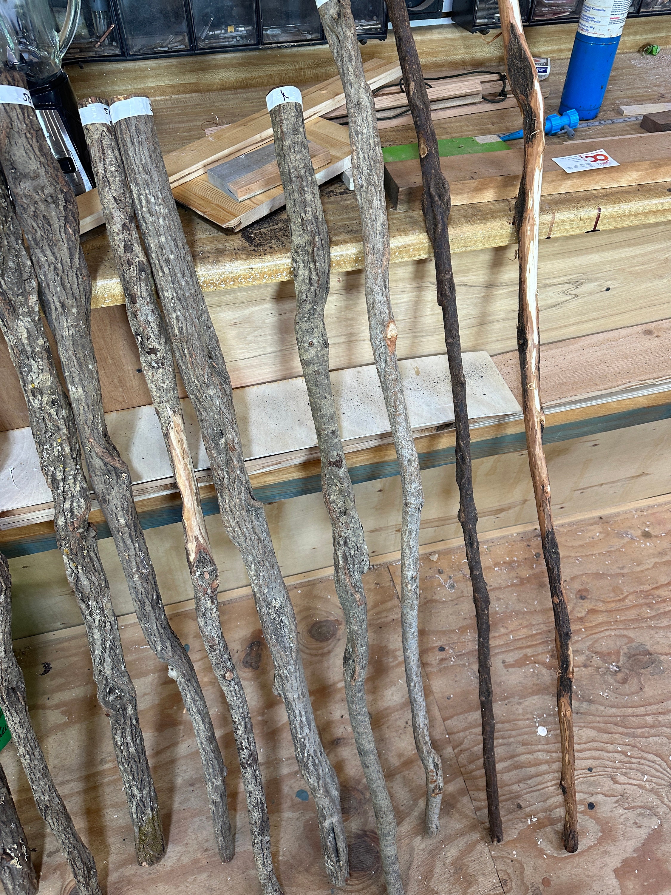 Diamond Willow Walking Stick Blanks item A 42 Inches - Etsy
