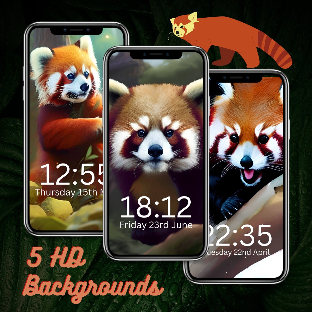 Red Panda Phone Wallpaper, iPhone Android HD Wallpaper, Animal Panda ...