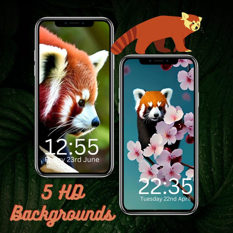Red Panda Phone Wallpaper, iPhone Android HD Wallpaper, Animal Panda ...