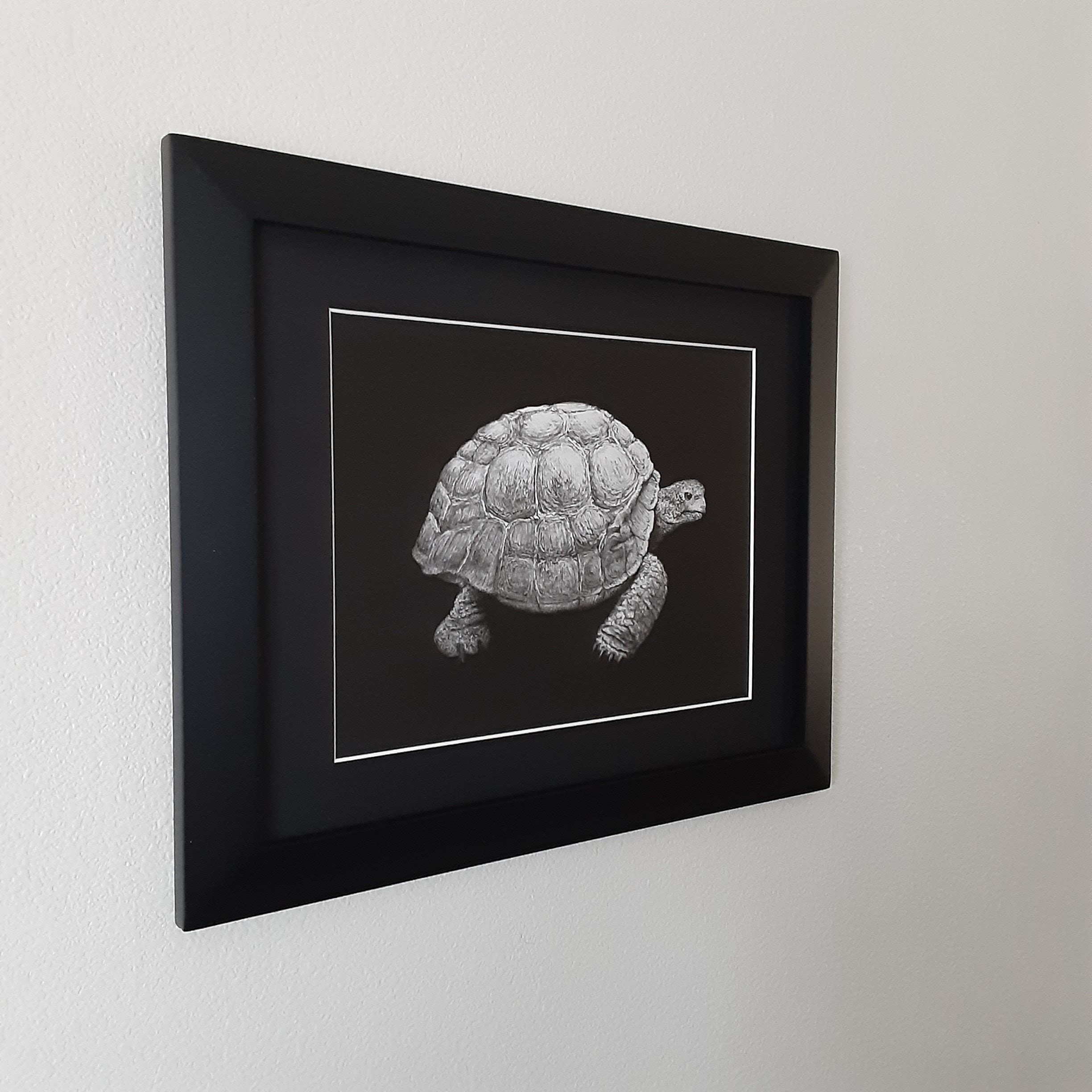 Tortoise Original Pen & Ink Drawing Handmade Giclée Rare Print - Etsy