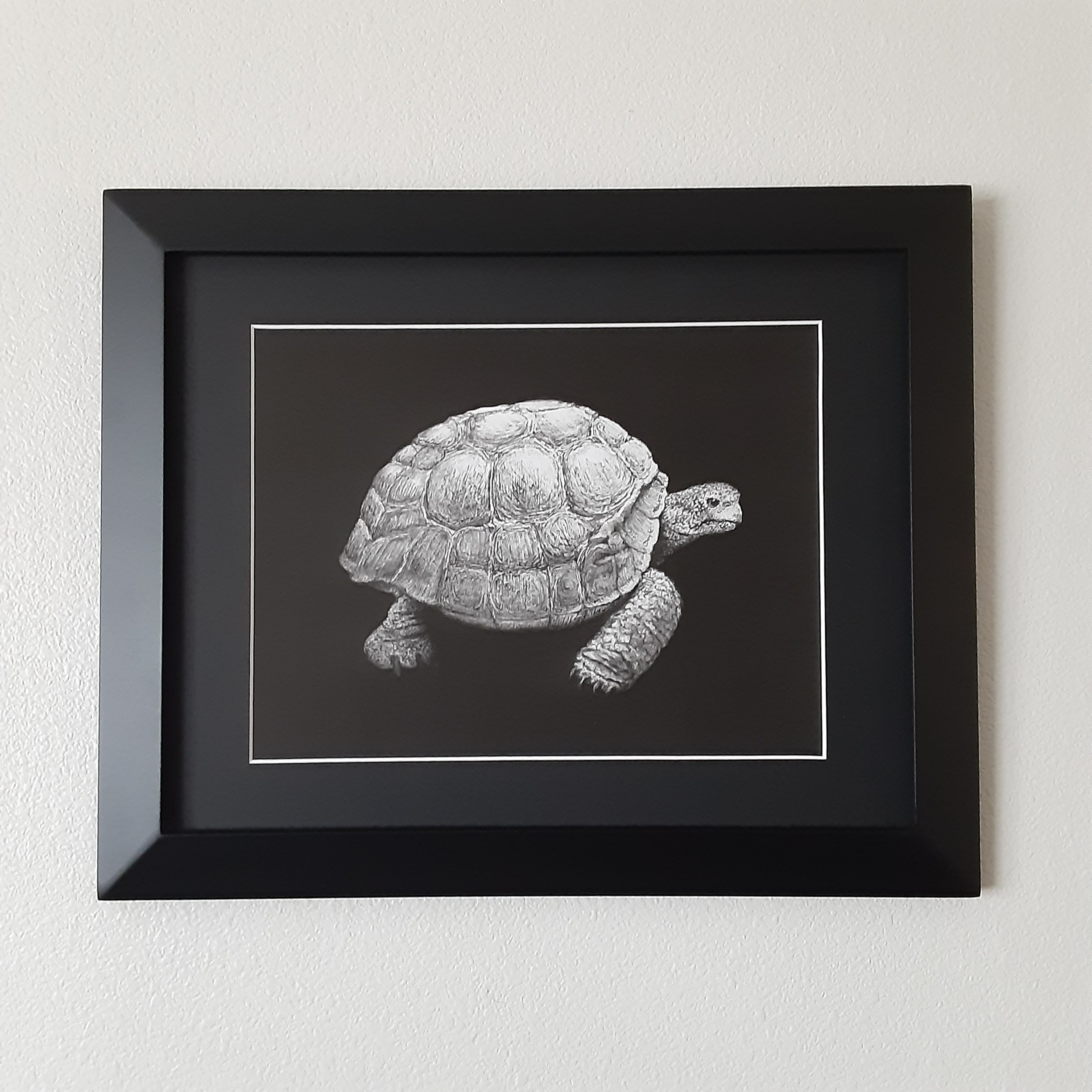 Tortoise Original Pen & Ink Drawing Handmade Giclée Rare Print - Etsy