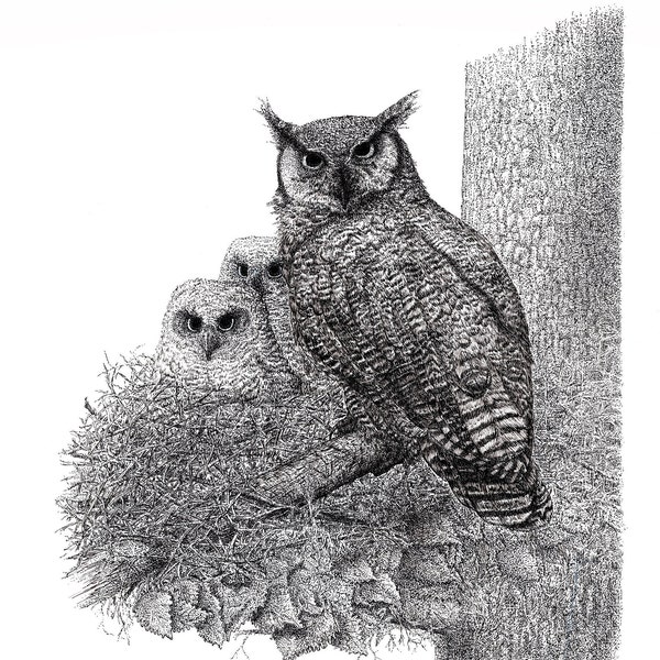 Owl Ink Drawing - Etsy