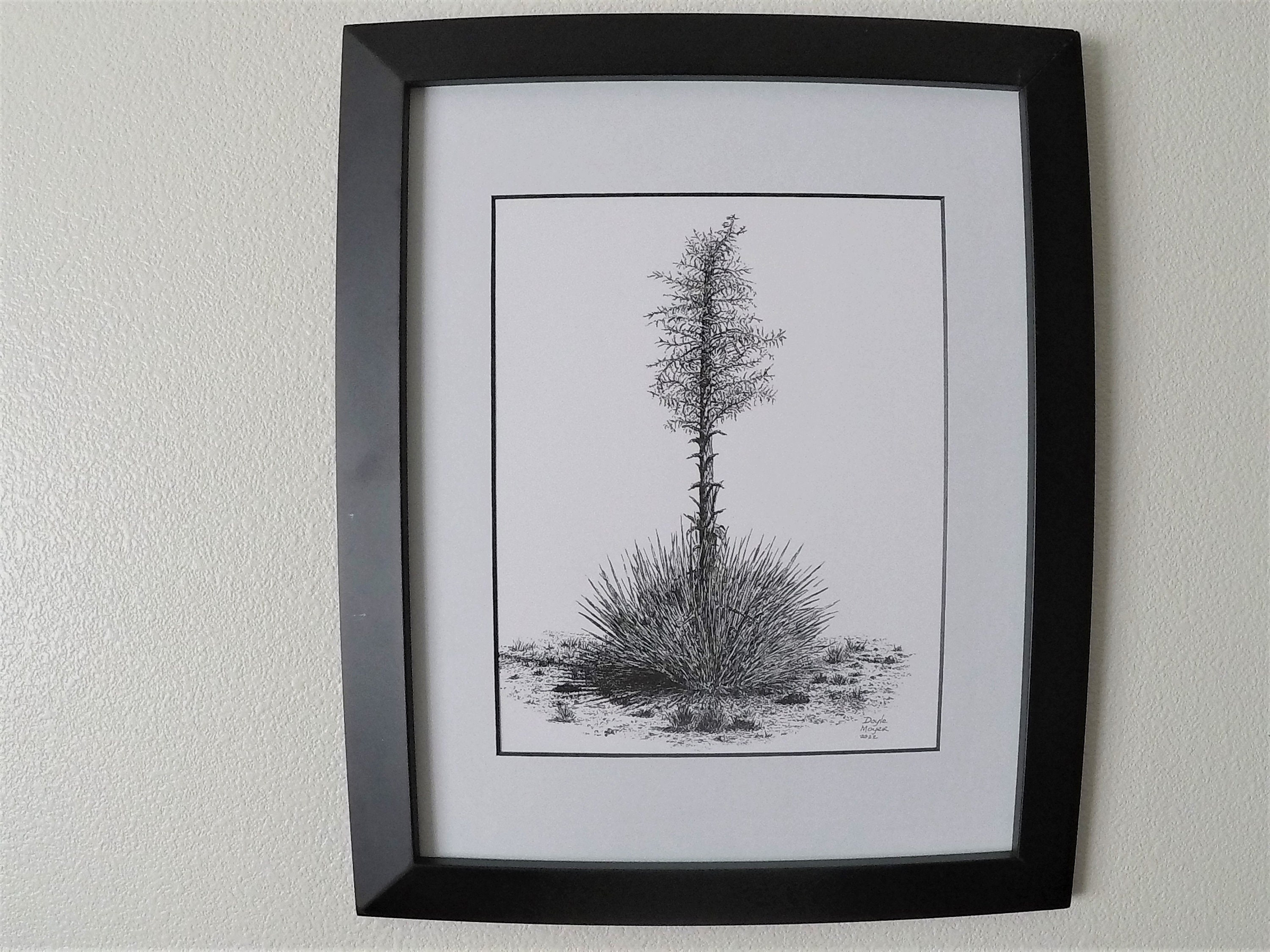 Yucca Plant of Joshua Tree National Park My Original Pen and Ink ...