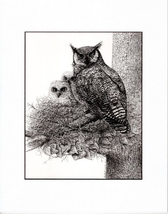 Great Horned Owl of Joshua Tree National Park Pen & Ink Print - Etsy