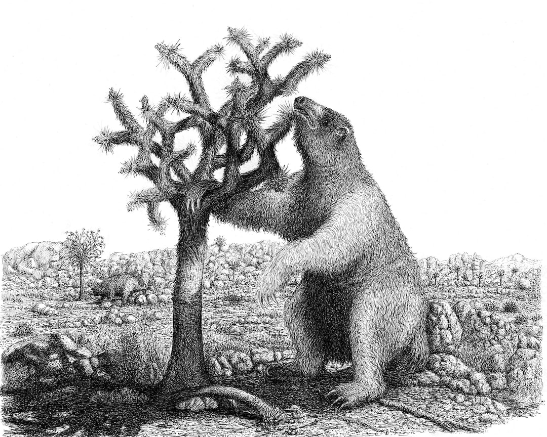 Giant Ground Sloth Giclée Print: Joshua Tree Pen & Ink Art - Etsy
