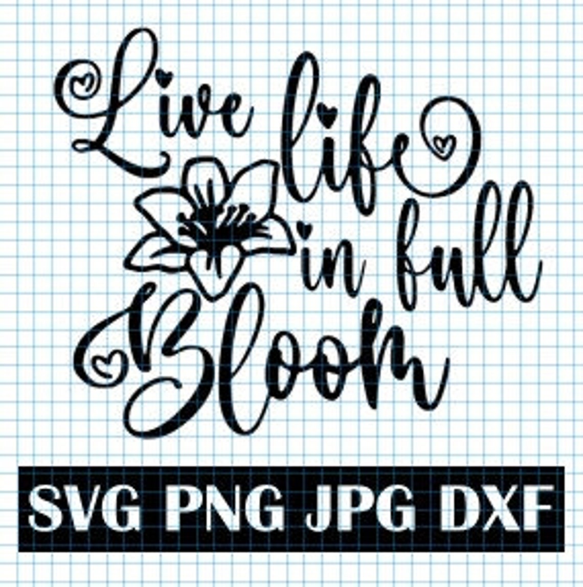 Live Life Full Bloom Svg, Bloom Svg, Live Life Svg, Spring Svg, in Full ...