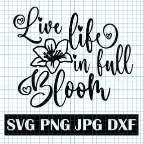 Live Life Full Bloom Svg, Bloom Svg, Live Life Svg, Spring Svg, in Full ...