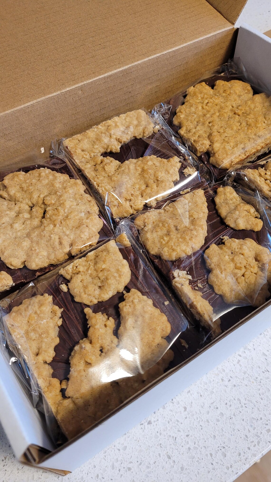 Chocolate Revel Bars - Oatmeal Bars, Snack, Treat, Chocolate, Homemade ...