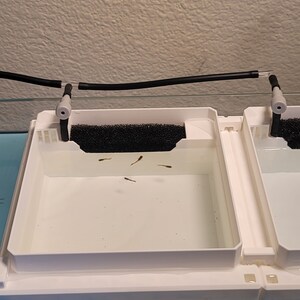 Aquarium Floating Fish Hatchery, Fry Egg Grow Out Tray. Baby Fish ...
