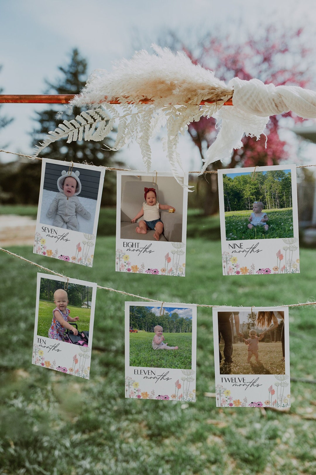 Wildflower First Year Photos, Wildflower Birthday Milestone Photos ...