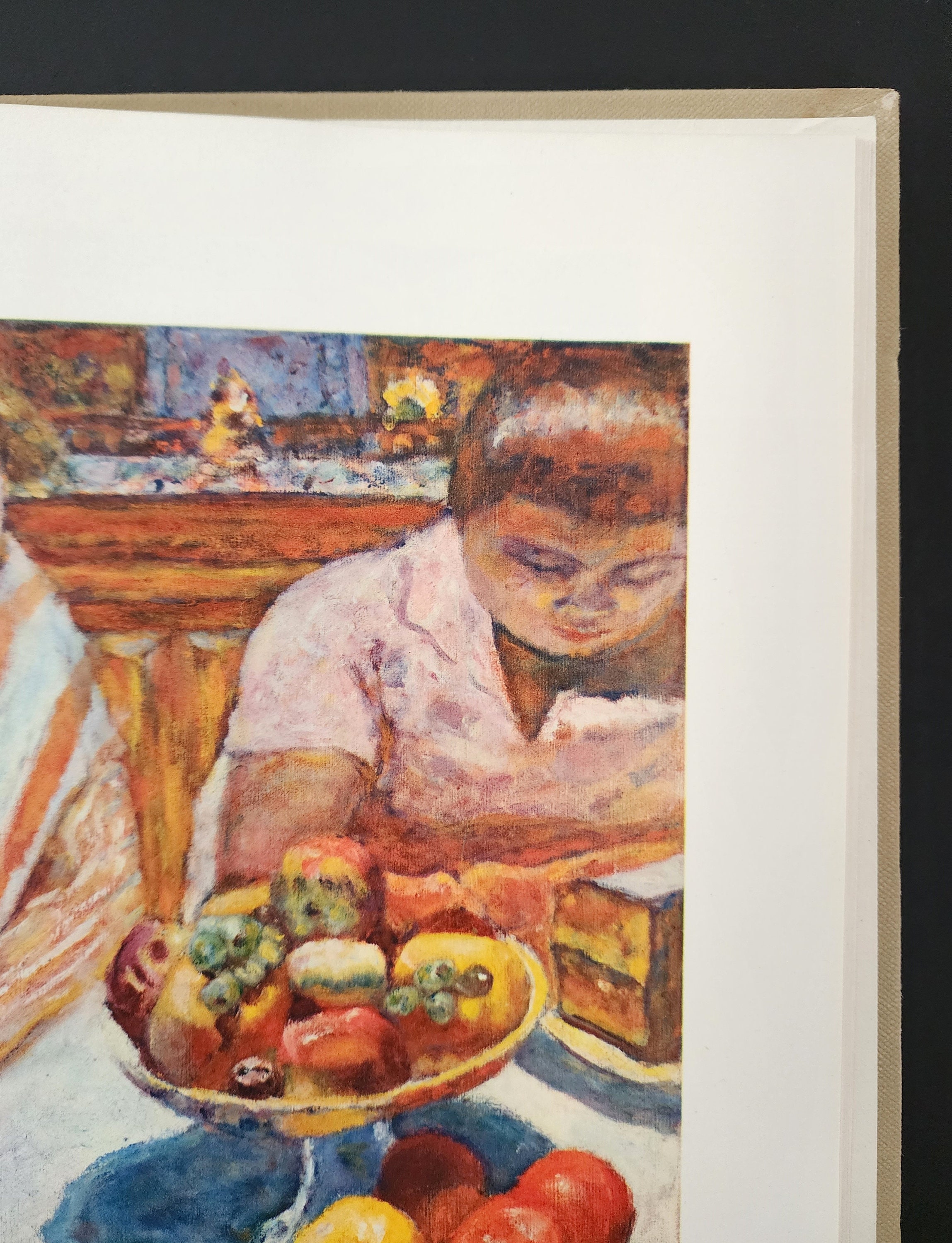 BONNARD. French Illustrated Art Book. Collection Couleurs Des Maîtres ...