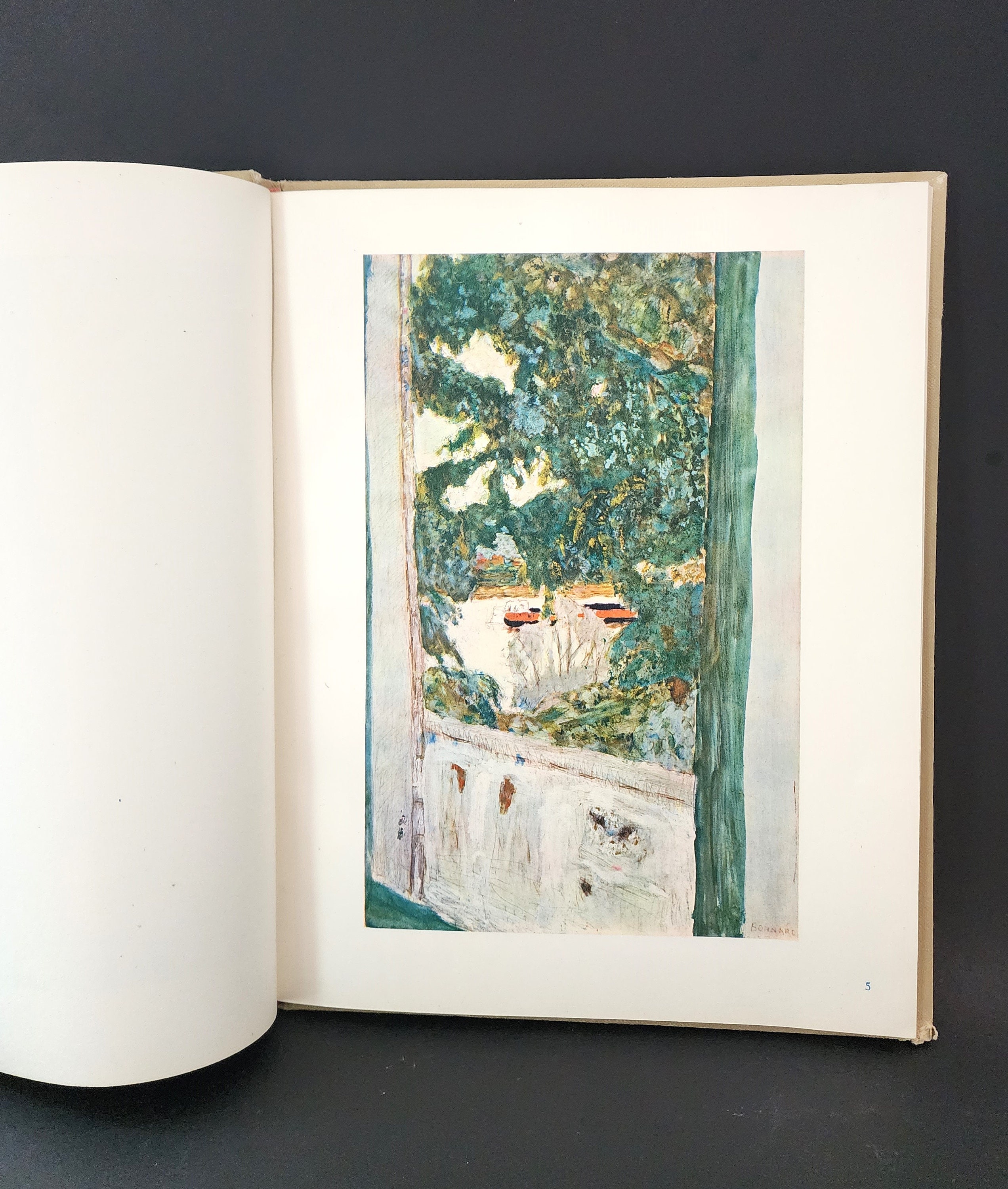 BONNARD. French Illustrated Art Book. Collection Couleurs Des Maîtres ...