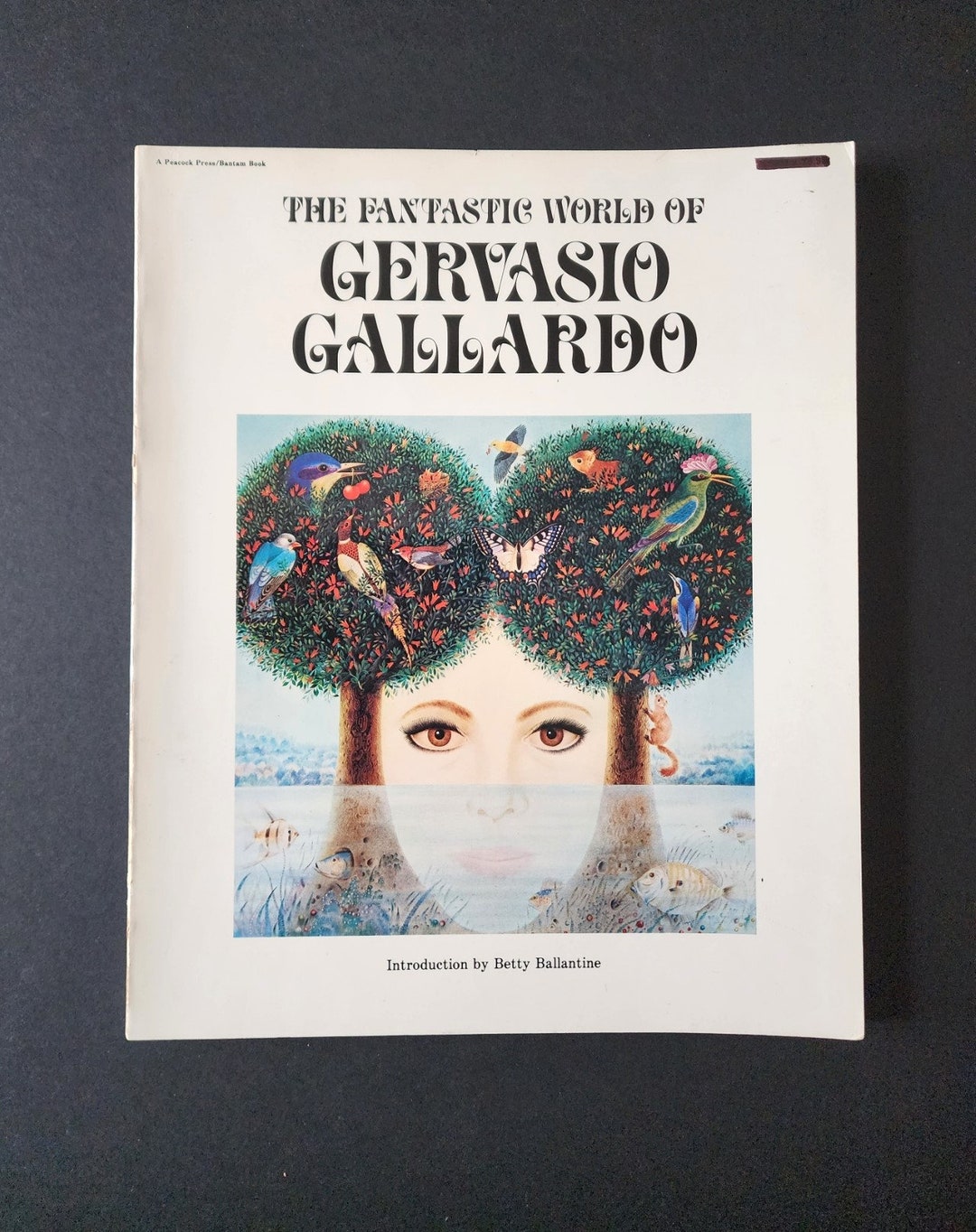 Vintage 1976 Book. the Fantastic World of Gervasio Gallardo. Fantastic ...