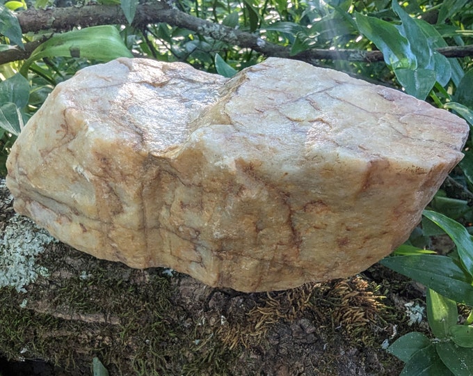 Large Variegated Quartzite (or Quartz-filled Rock) * Metamorphic ...