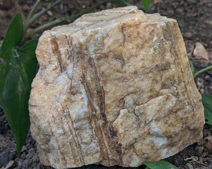 Natural Terrarium Rock * Terracotta-colored Quartzite *decorative ...