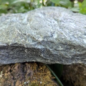 Phyllite * Large, Foliated, Slightly Metallic, Metamorphic Rock or ...