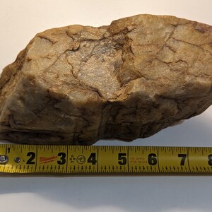 Large Variegated Quartzite or Quartz-filled Rock Metamorphic Specimen ...