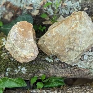 Cherty Quartzite Rocks 2 Pc, Metamorphic Specimens or Decorative Creamy ...