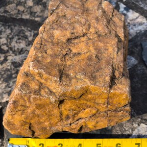 Carrot Cake Quartzite Large, Climbing or Basking Rock, Decorative ...