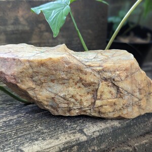 Large Variegated Quartzite or Quartz-filled Rock Metamorphic Specimen ...